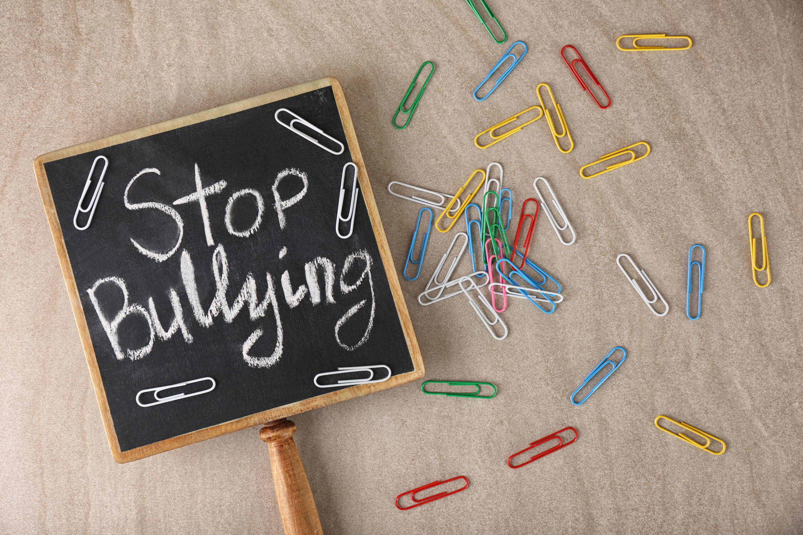 4 Reasons Why We Should Stop Bullying - Cat's Eye